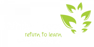 Return to Learn Programme – WhiteTrees Group