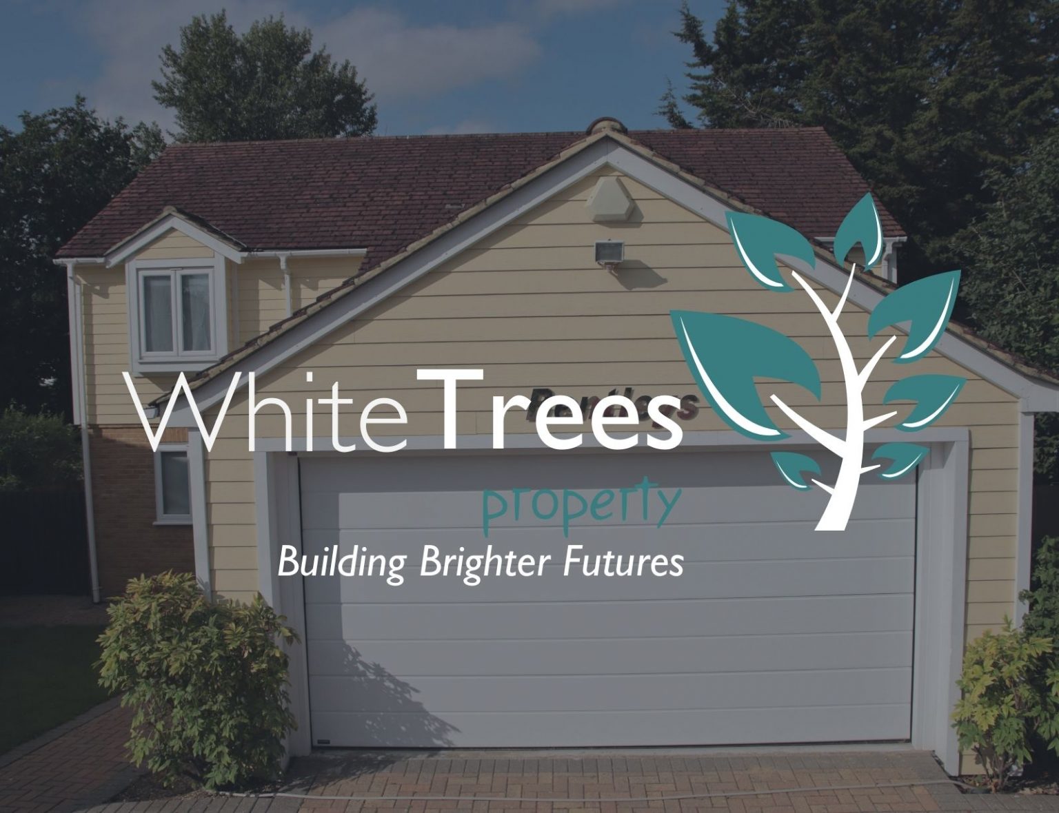 WhiteTrees Group – Building Brighter Futures